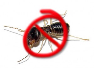 FHA rules for termite inspections • Birmingham Appraisal Blog